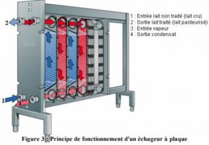 Laiterie : Technologie de fabrication du lait pasteurisé, du lait ...