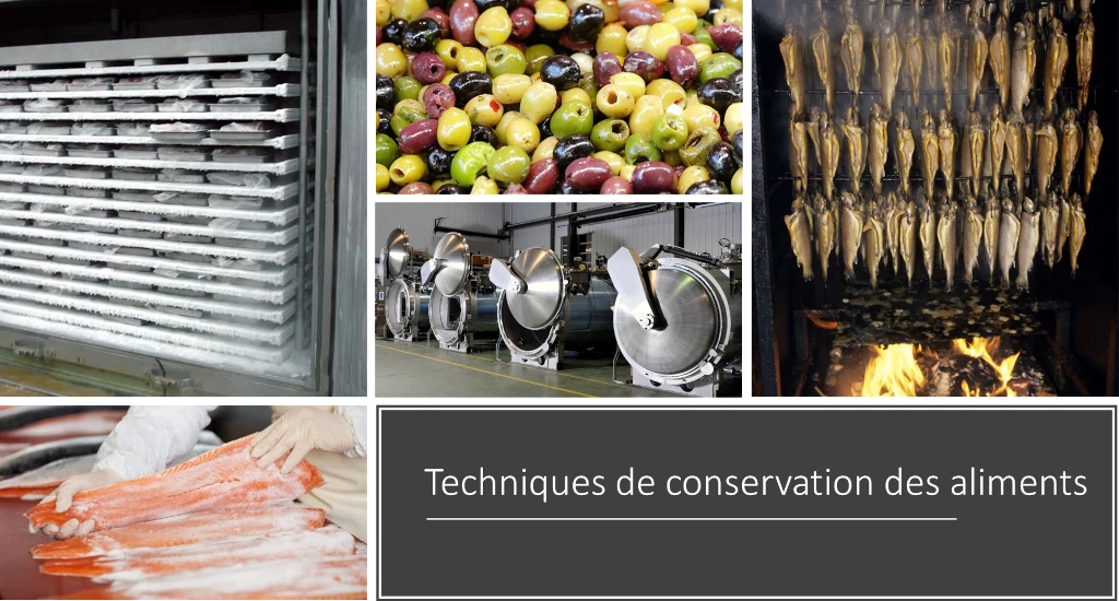 Techniques de conservation des aliments Archives - SienTecAL